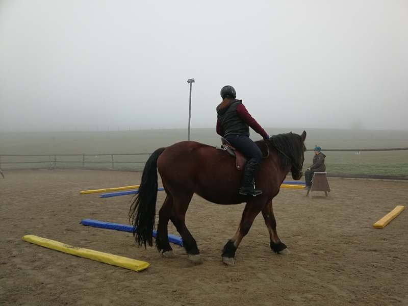 Entspannt Reiten lernen | Sabine Erndl * Pferd und Bogen